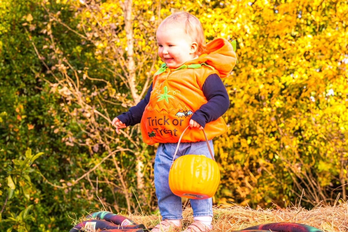 Pumpkin Patch Limerick | Family Days Out Ireland | Woodlands Hotel