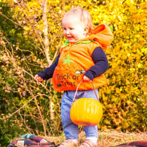 Pumpkin Patch Limerick | Family Days Out Ireland | Woodlands Hotel